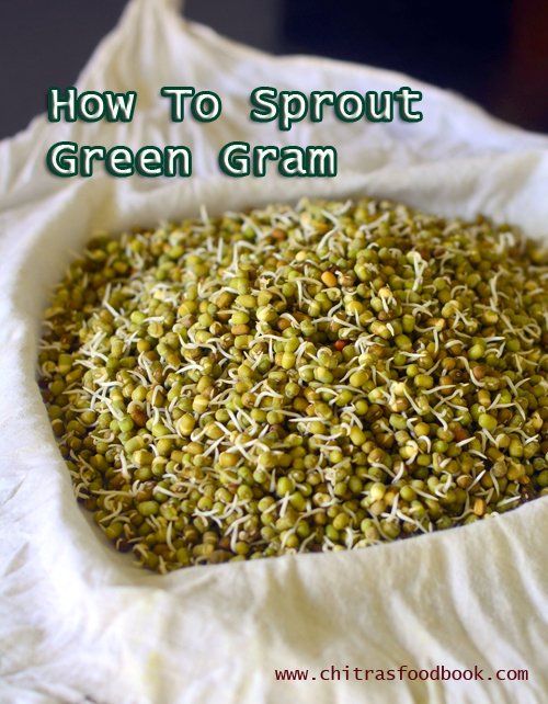 How To Make Sprouts At Home | Homemade Moong Sprouts - Chitra's Food Book